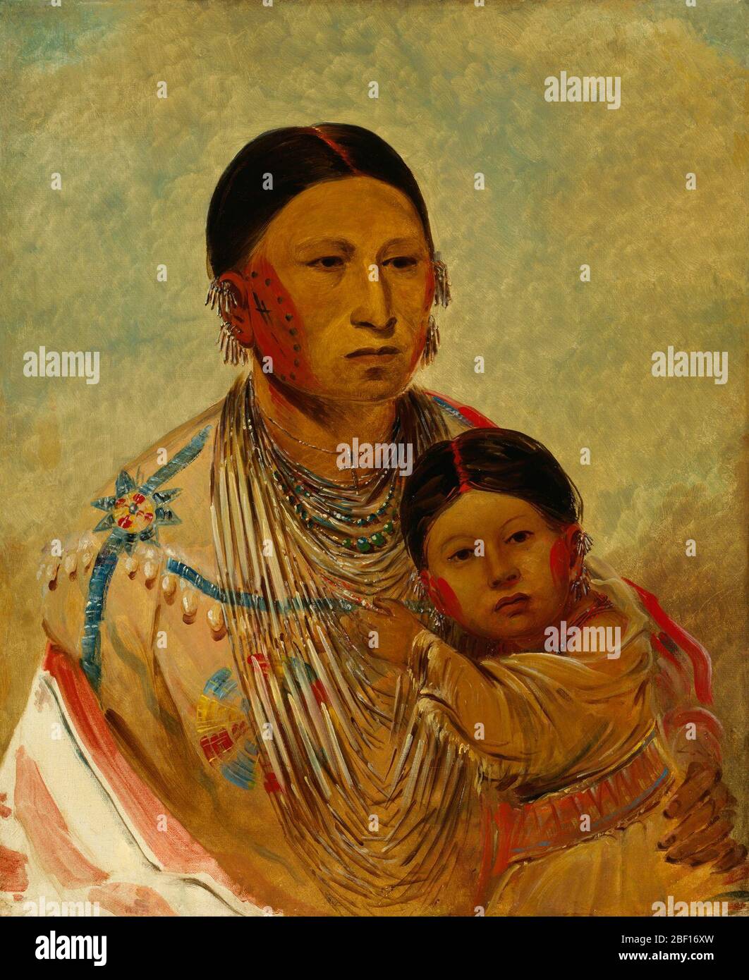 Indian white pigeon hi-res stock photography and images - Alamy