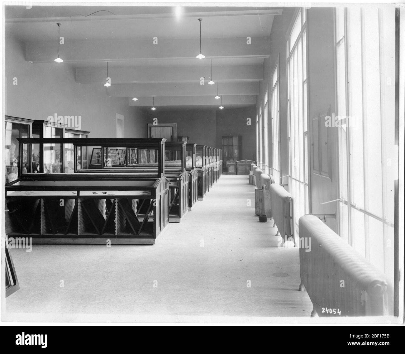 United States National Museum New American Cases. Also known as ...