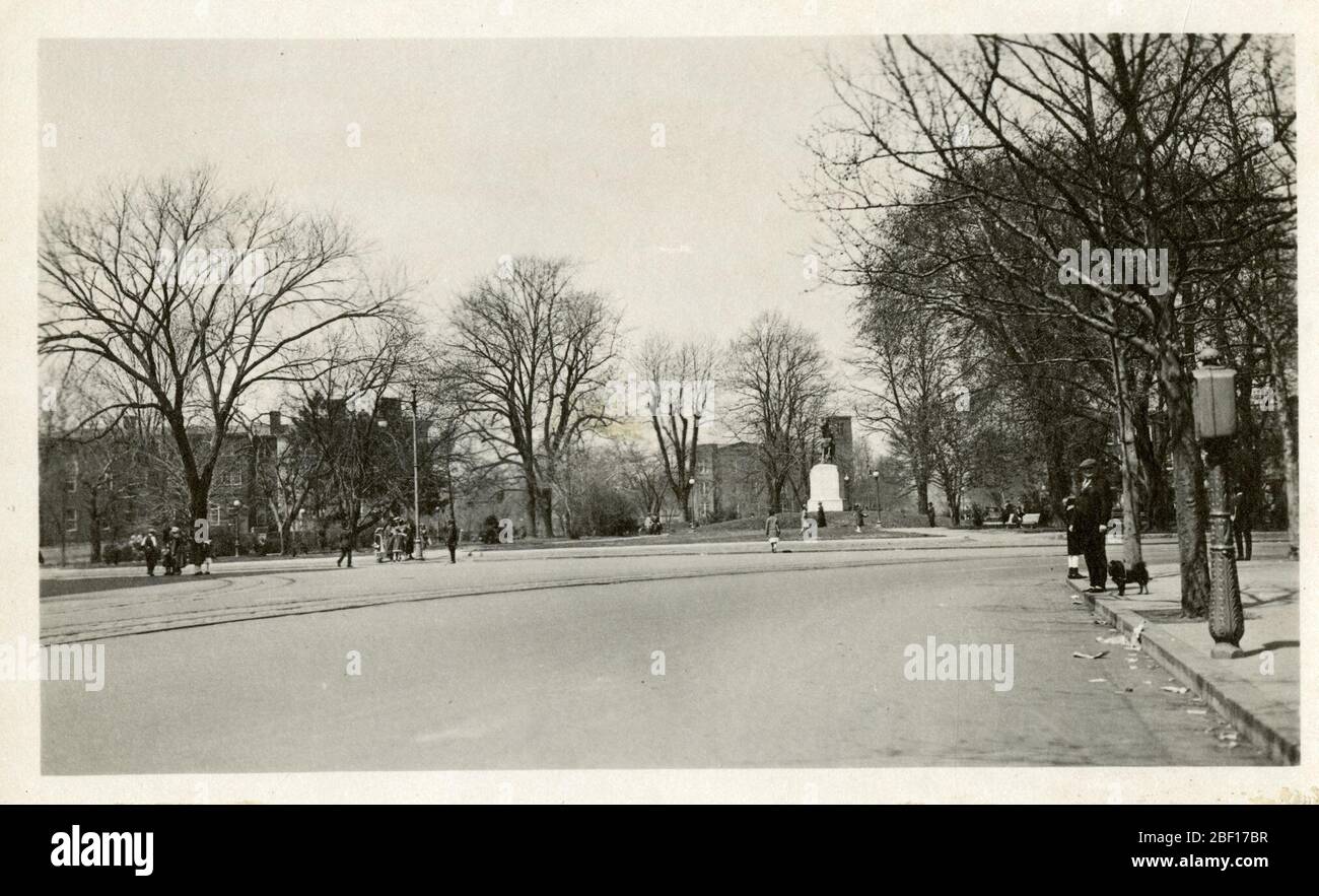 Trees lining streets in Washington DC. Smithsonian Institution Archives ...