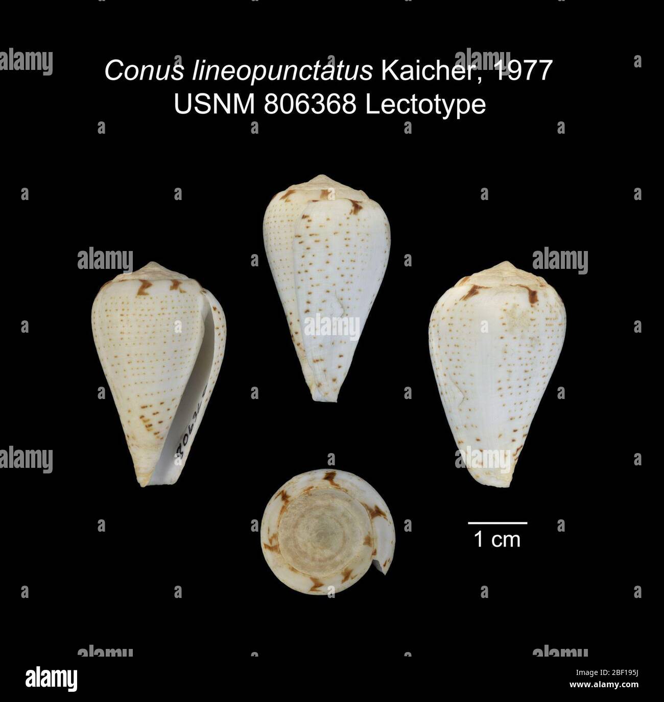 When 14 aug hi-res stock photography and images - Alamy