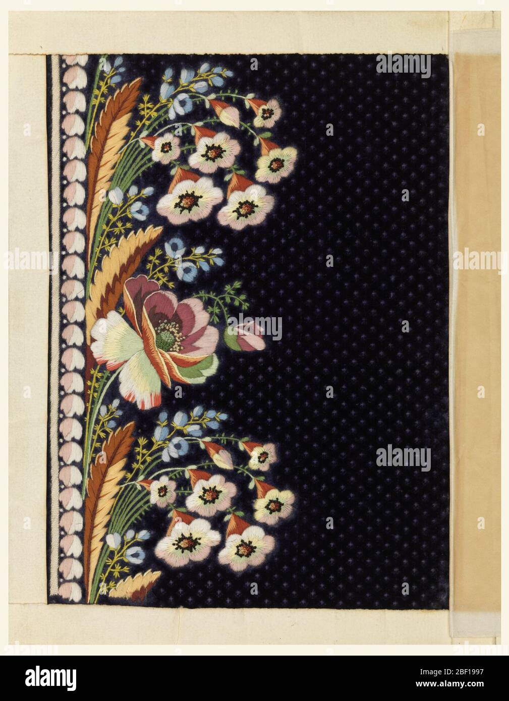 Multicolored flower border hi-res stock photography and images - Alamy