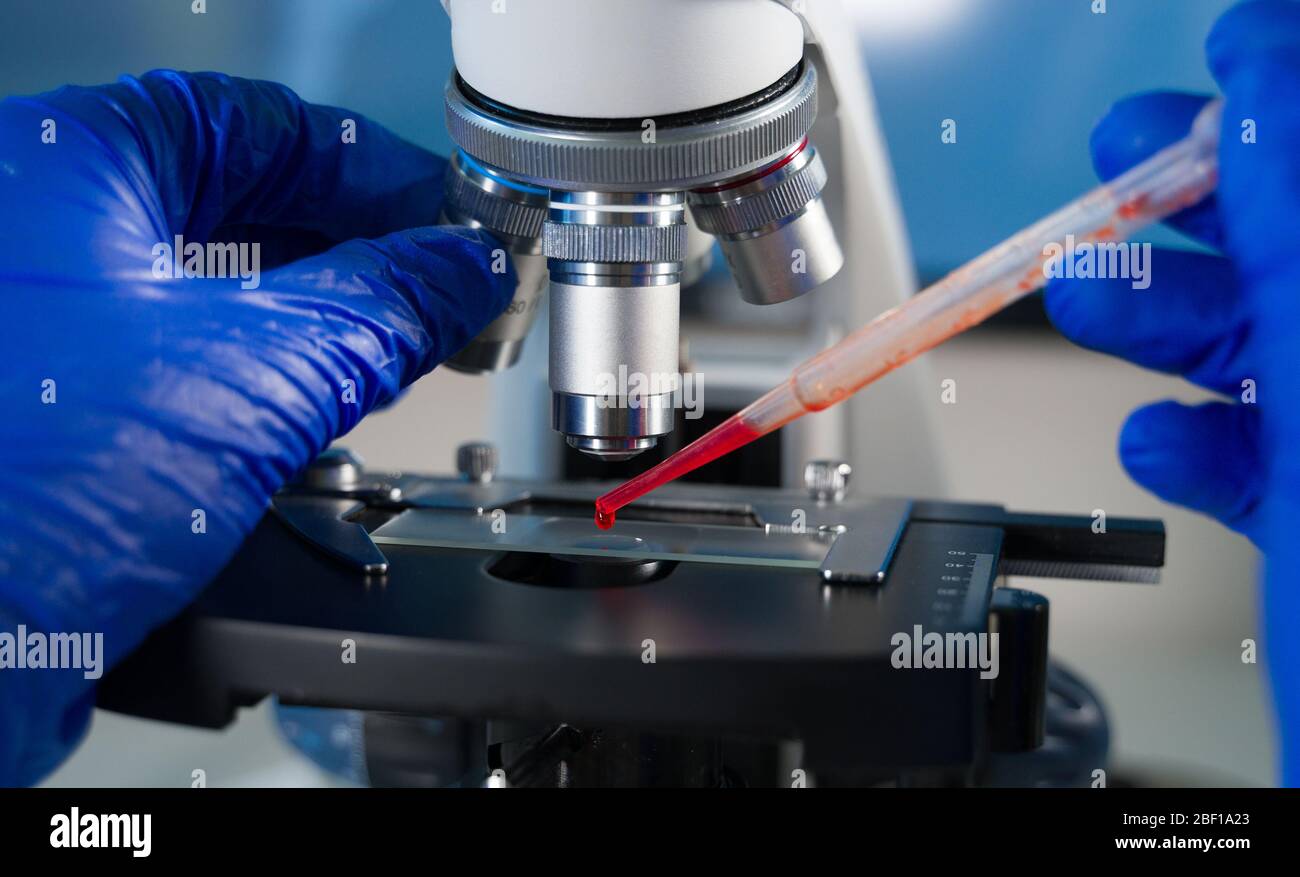 Microscope slide microbiology hand hi-res stock photography and images ...