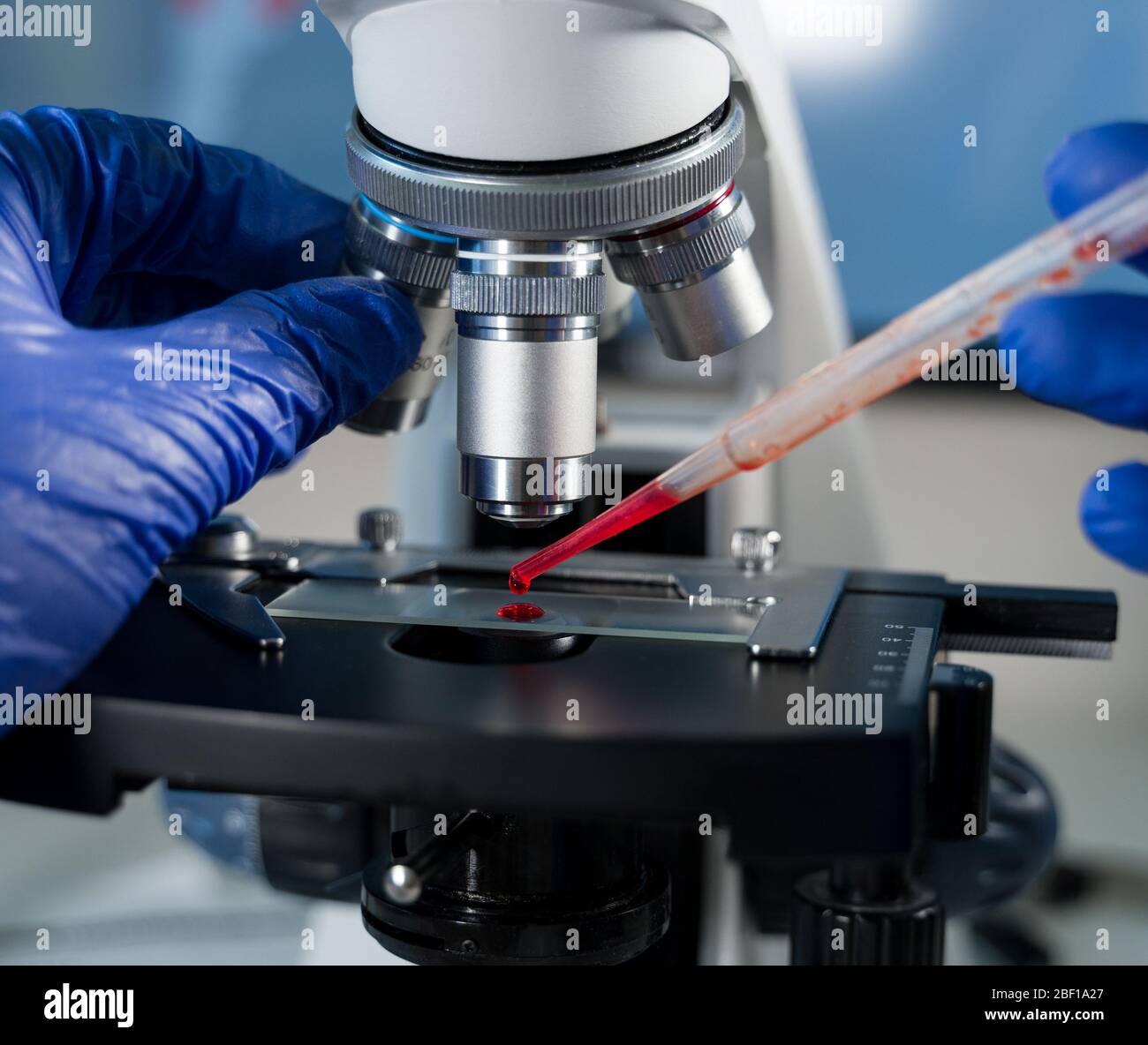 Microscope slide microbiology hand hi-res stock photography and images ...