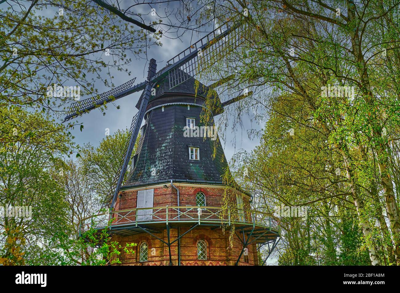 Historic and restored windmill in Berlin, Germany, between birch trees ...
