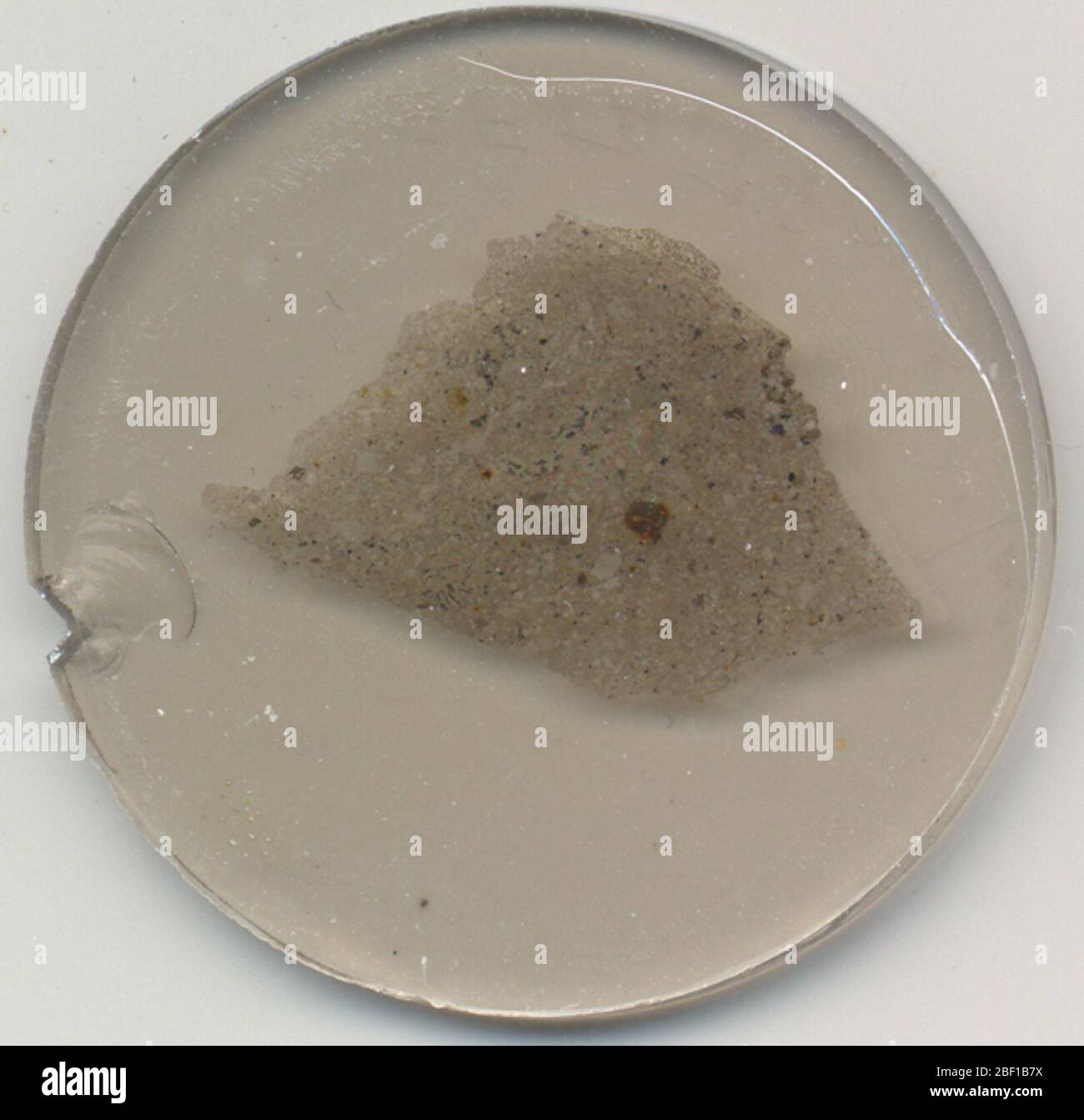 Scientificimage hi-res stock photography and images - Alamy