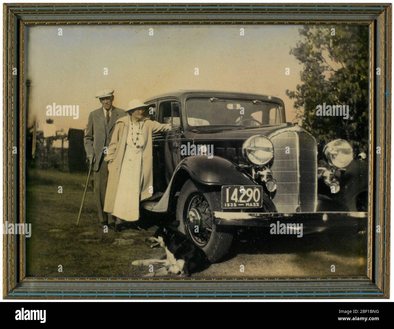 Dog and outdoor scene Cut Out Stock Images & Pictures - Alamy