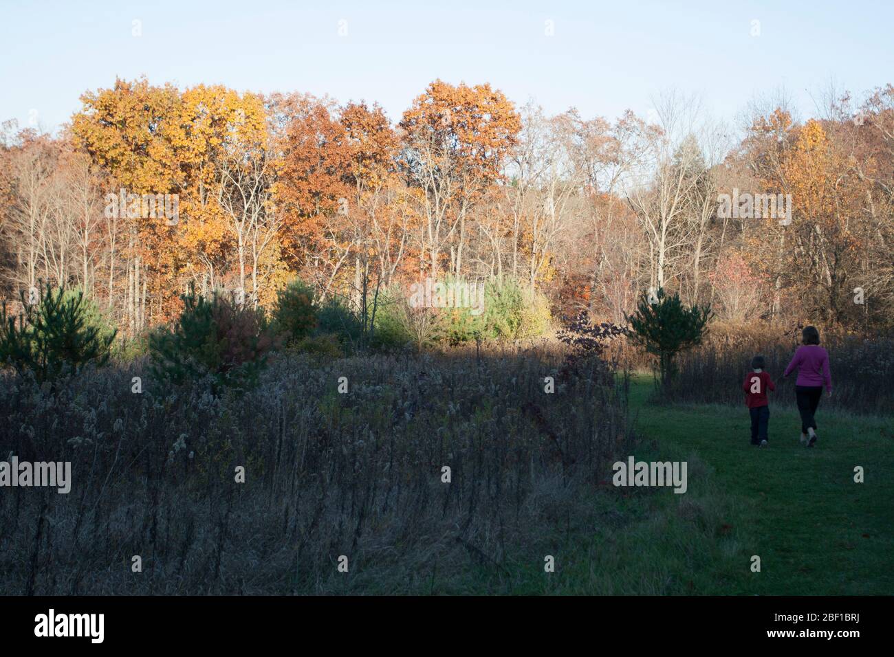 Late Autumn Scene Stock Photo - Alamy