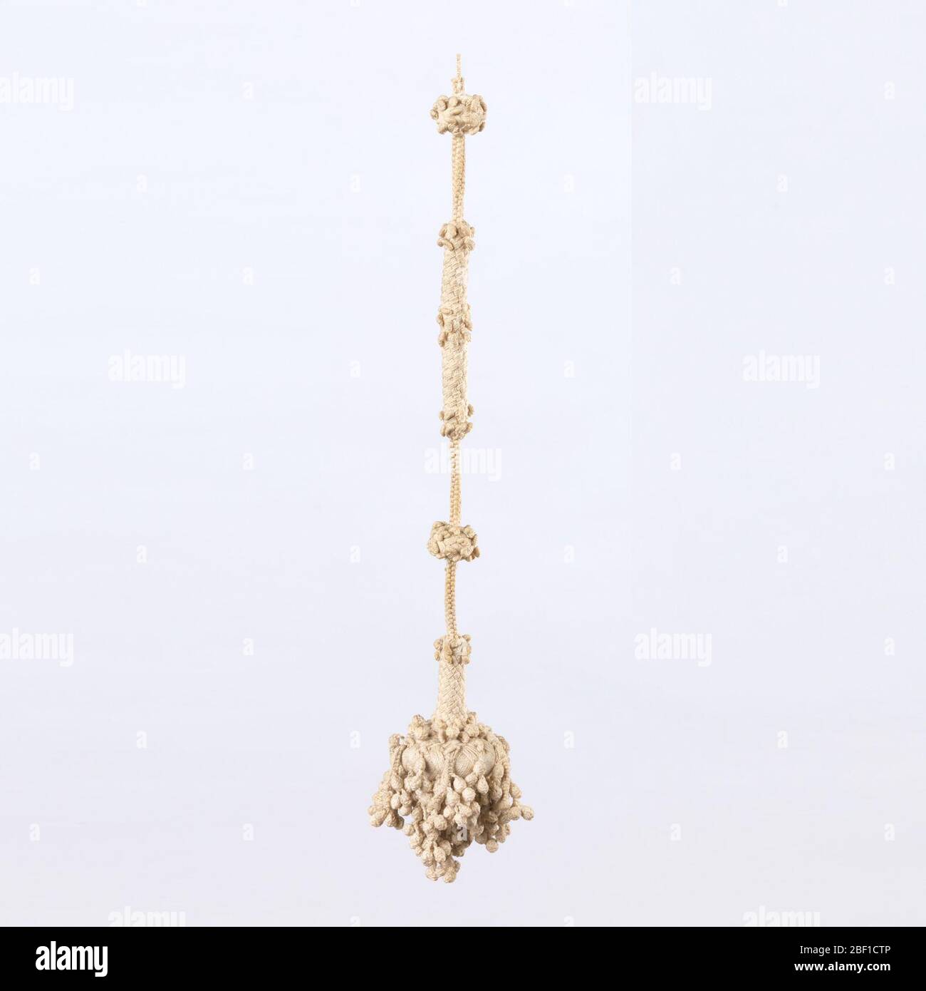 Long braided stem attached hi-res stock photography and images - Alamy