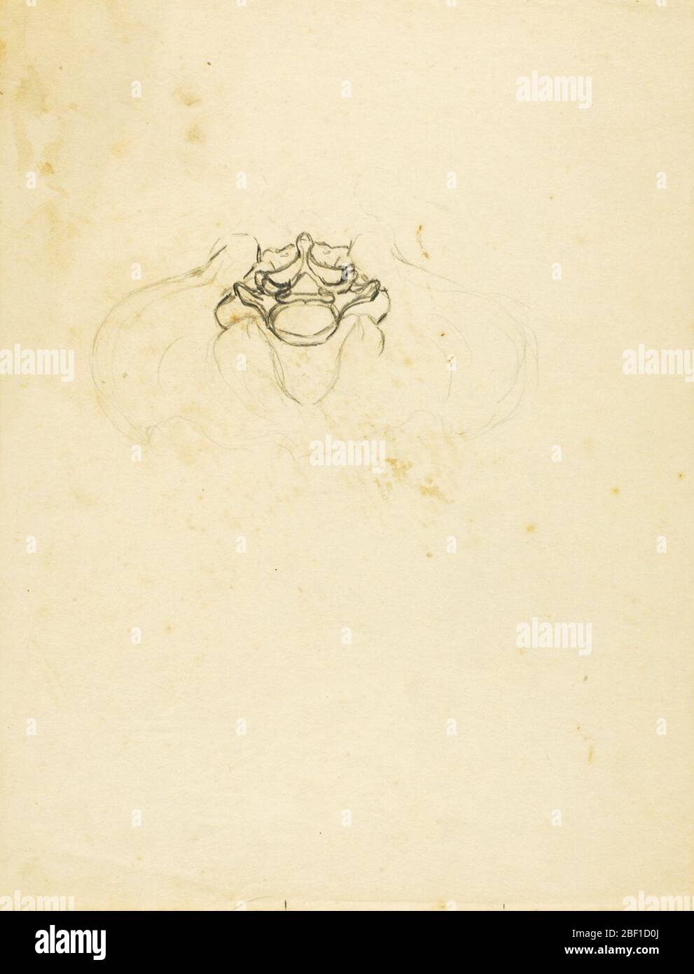 Postural research hi-res stock photography and images - Alamy