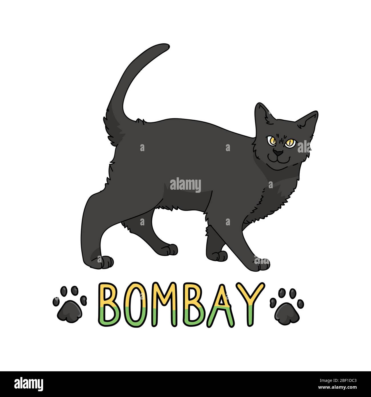 Cute cartoon Bombay cat with text vector clipart. Pedigree kitty breed ...