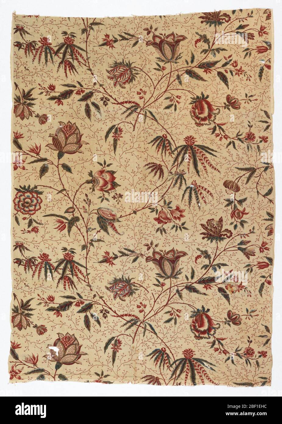 Vines curving hi-res stock photography and images - Alamy