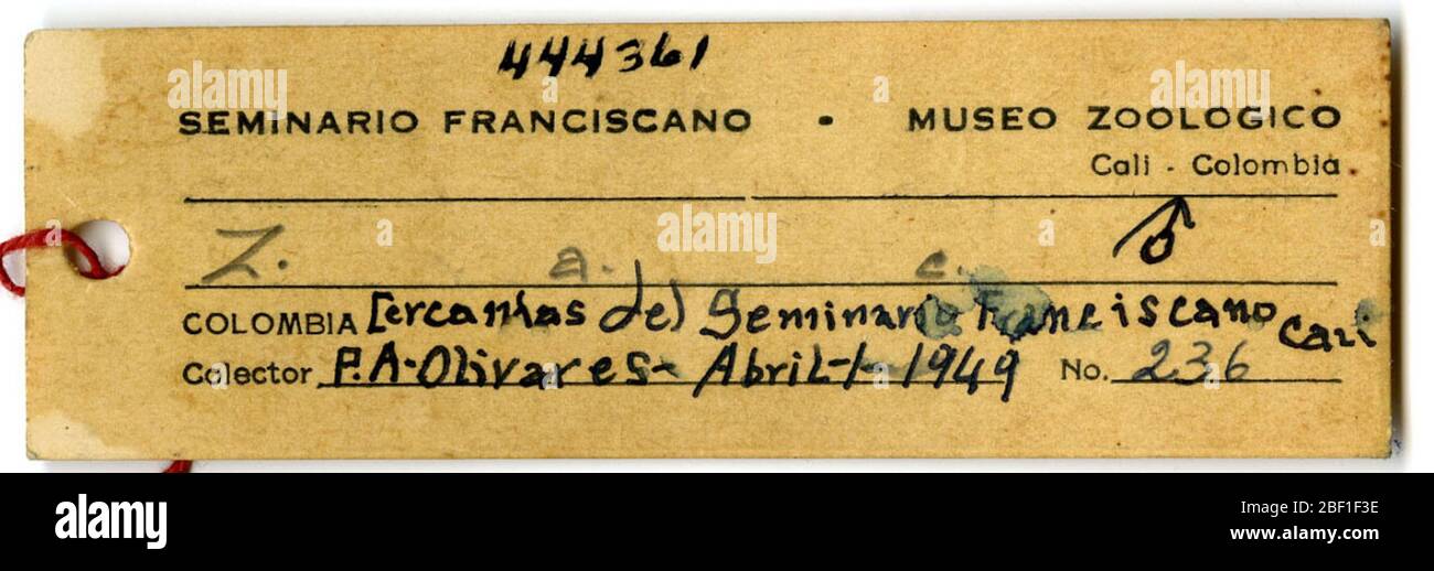 Field research ornithology Cut Out Stock Images & Pictures - Alamy