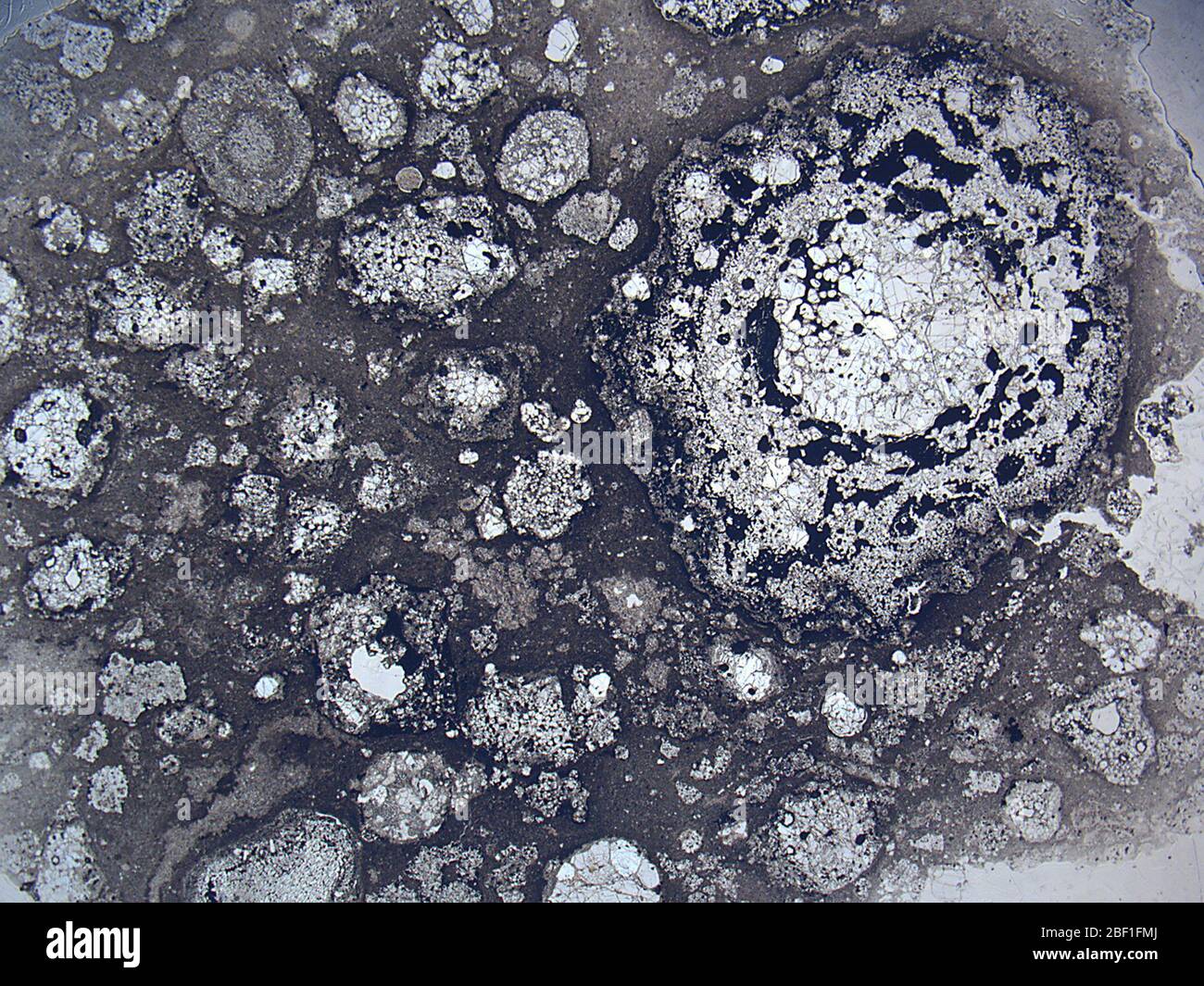 Allende meteorite hi-res stock photography and images - Alamy