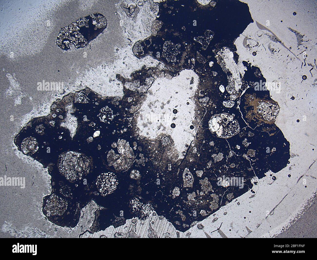 Rais hi-res stock photography and images - Alamy