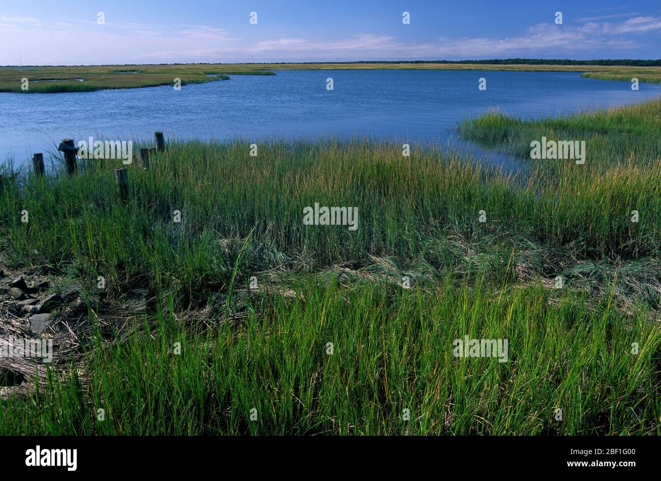 Cape may cape may county hi-res stock photography and images - Alamy