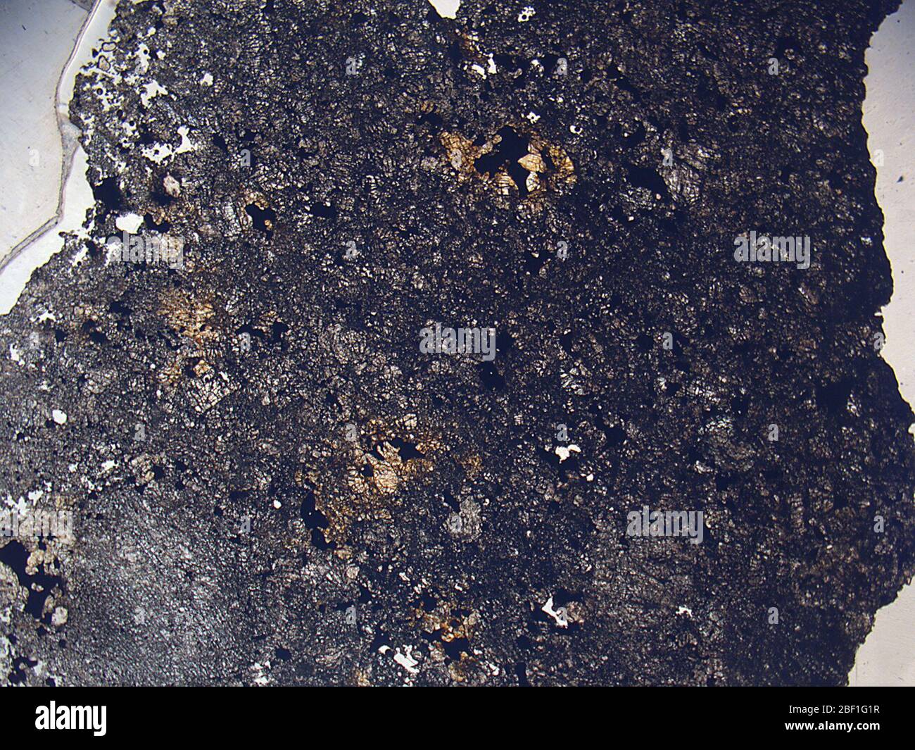 Baroti hi-res stock photography and images - Alamy