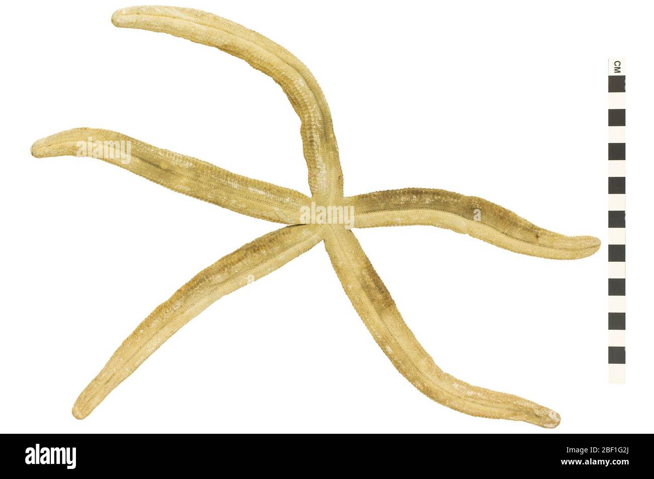 Science program Cut Out Stock Images & Pictures - Alamy