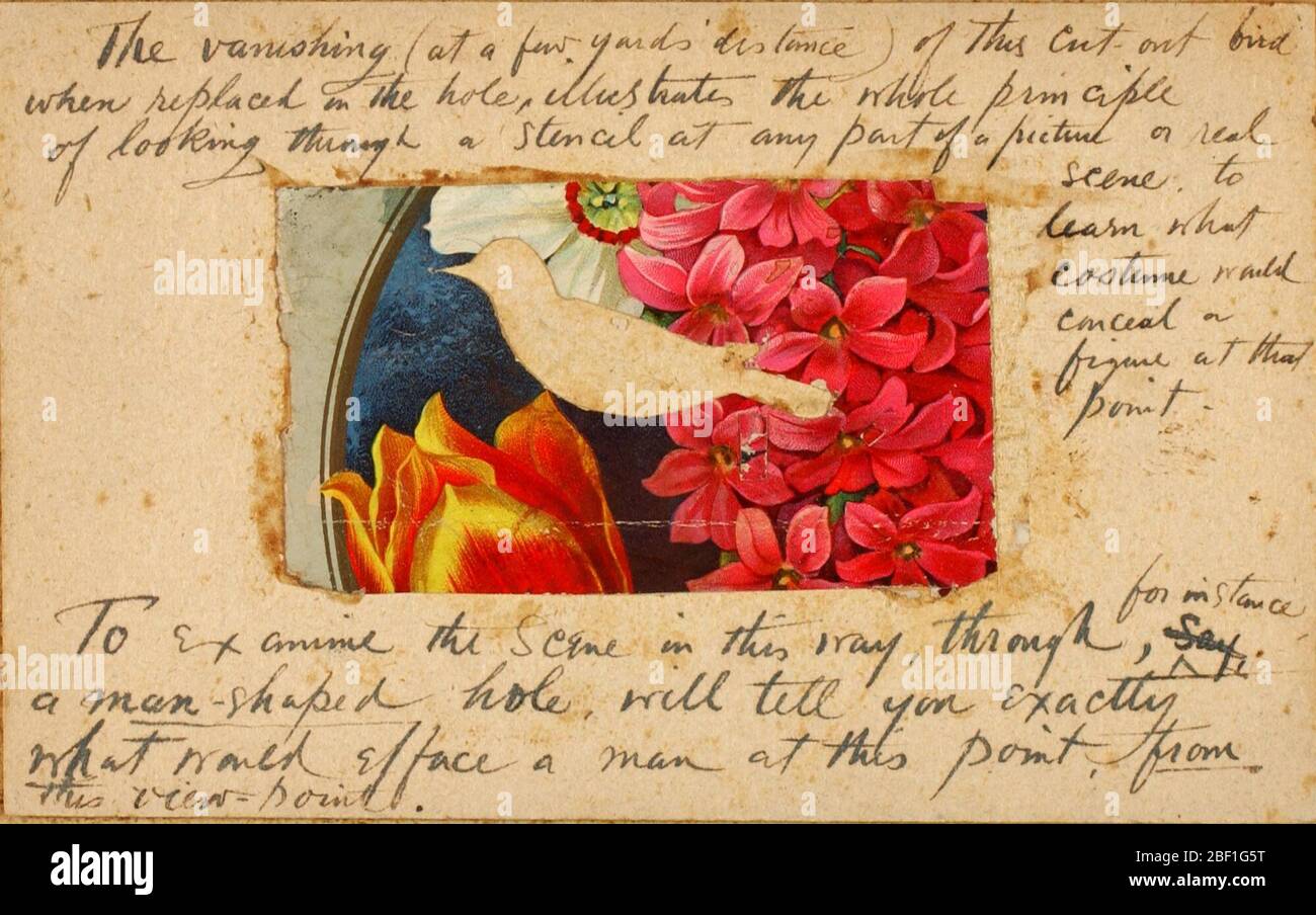 Bird Stencil study folder for book Concealing Coloration in the Animal ...
