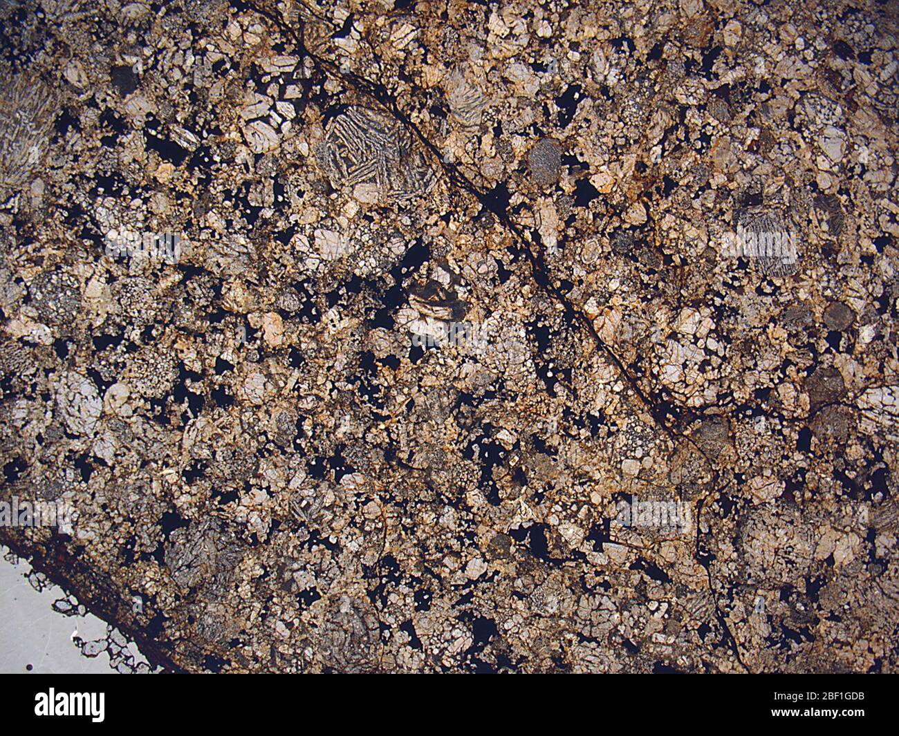 City of bonita springs hi-res stock photography and images - Alamy