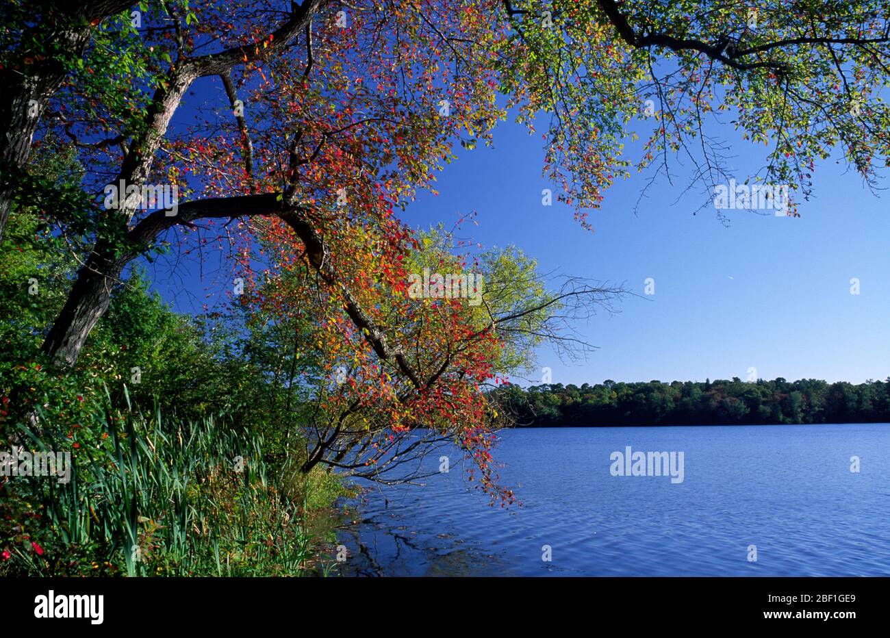 Parvin state park hi-res stock photography and images - Alamy