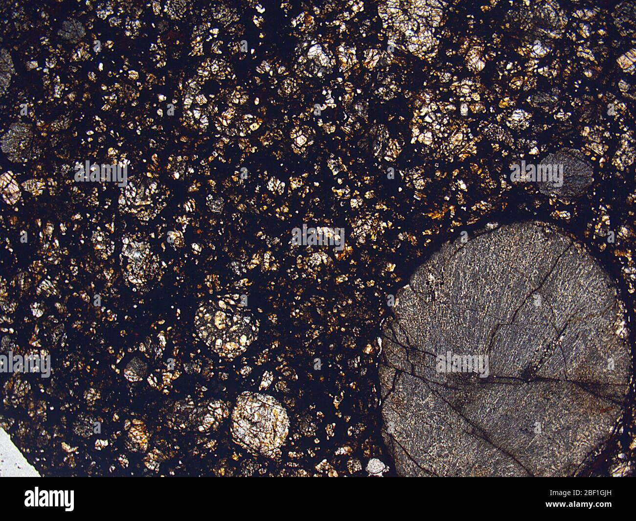 1937 records hi-res stock photography and images - Alamy