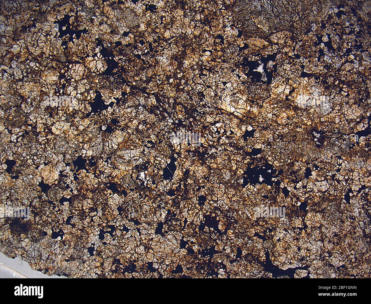 Cadell hi-res stock photography and images - Alamy