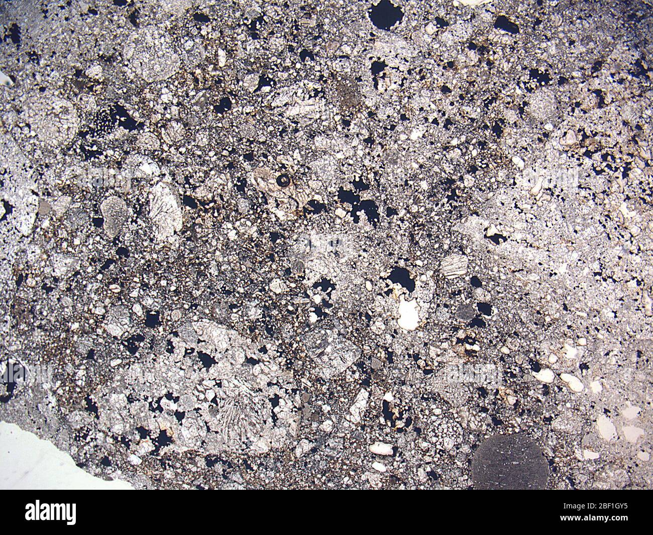 Castalia hi-res stock photography and images - Alamy