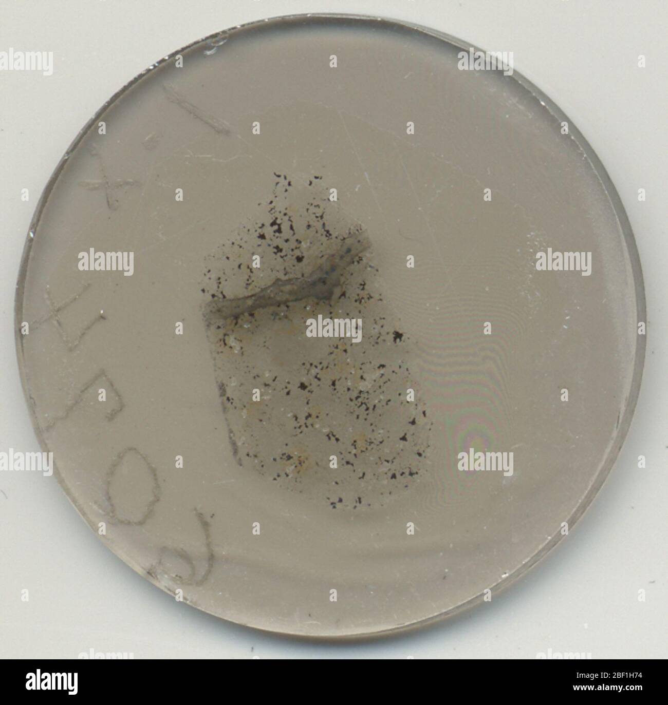 Cilimus hi-res stock photography and images - Alamy