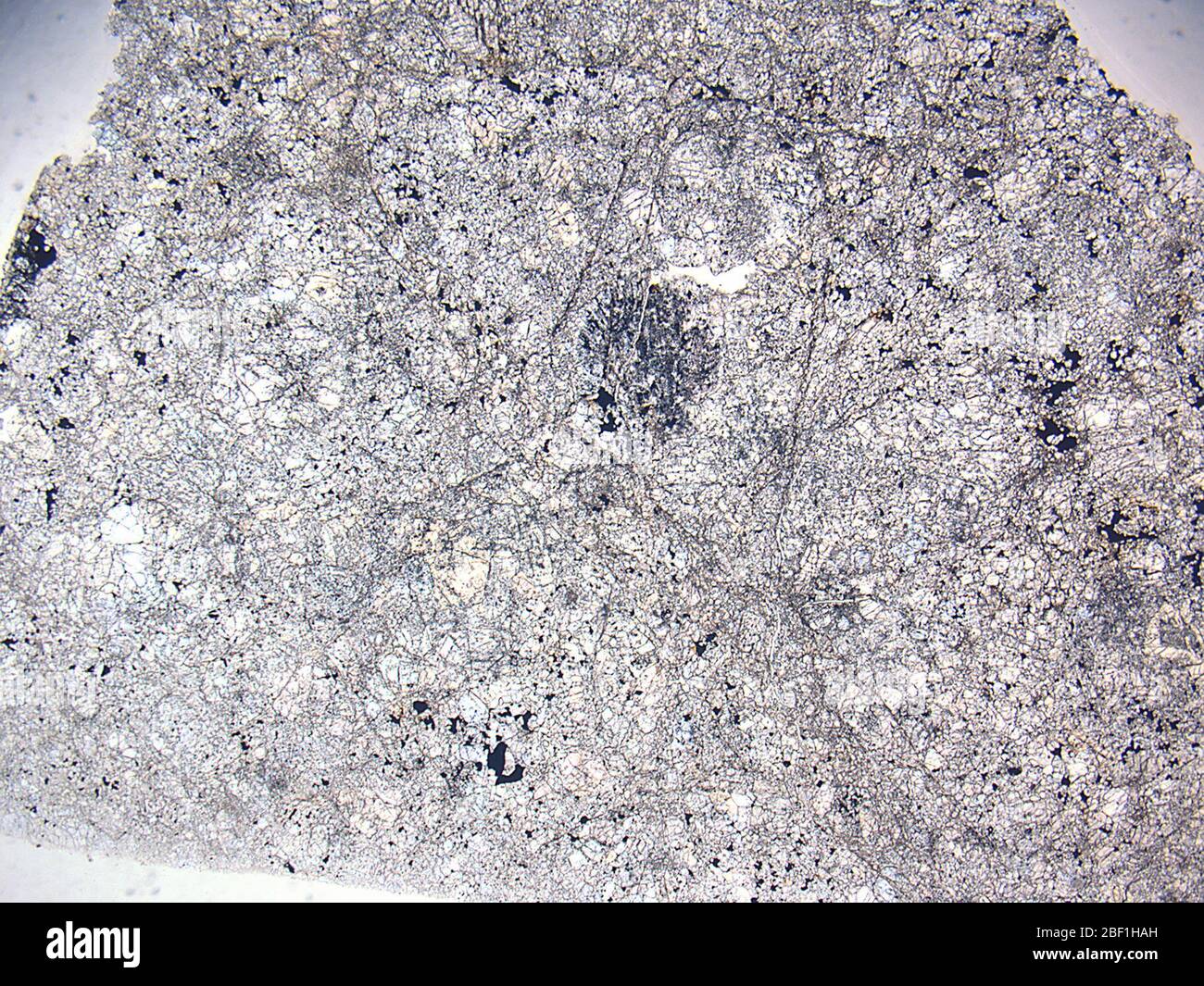 Chicora hi-res stock photography and images - Alamy