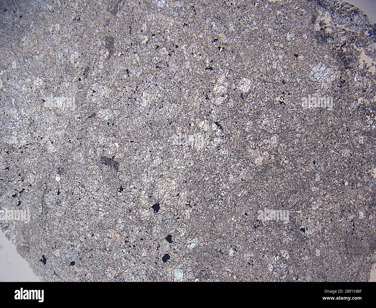 Chicora hi-res stock photography and images - Alamy