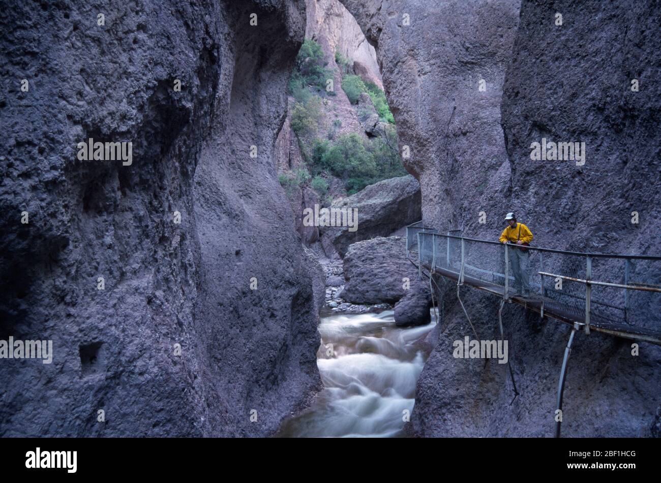 Whitewater Creek, The Catwalk National Recreation Trail, Gila National ...