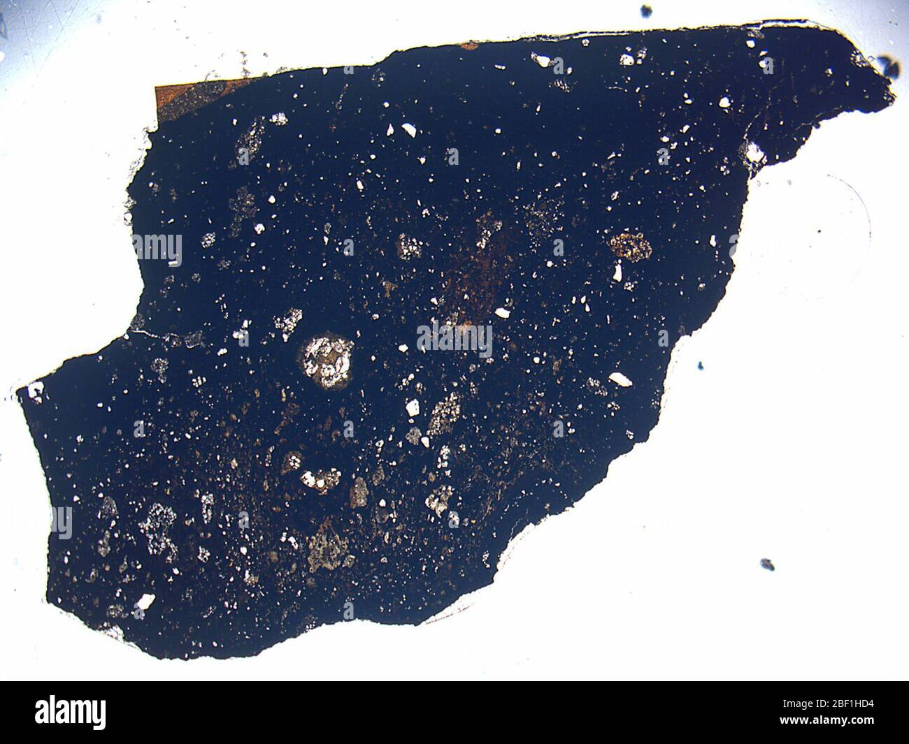 Bokkeveld hi-res stock photography and images - Alamy