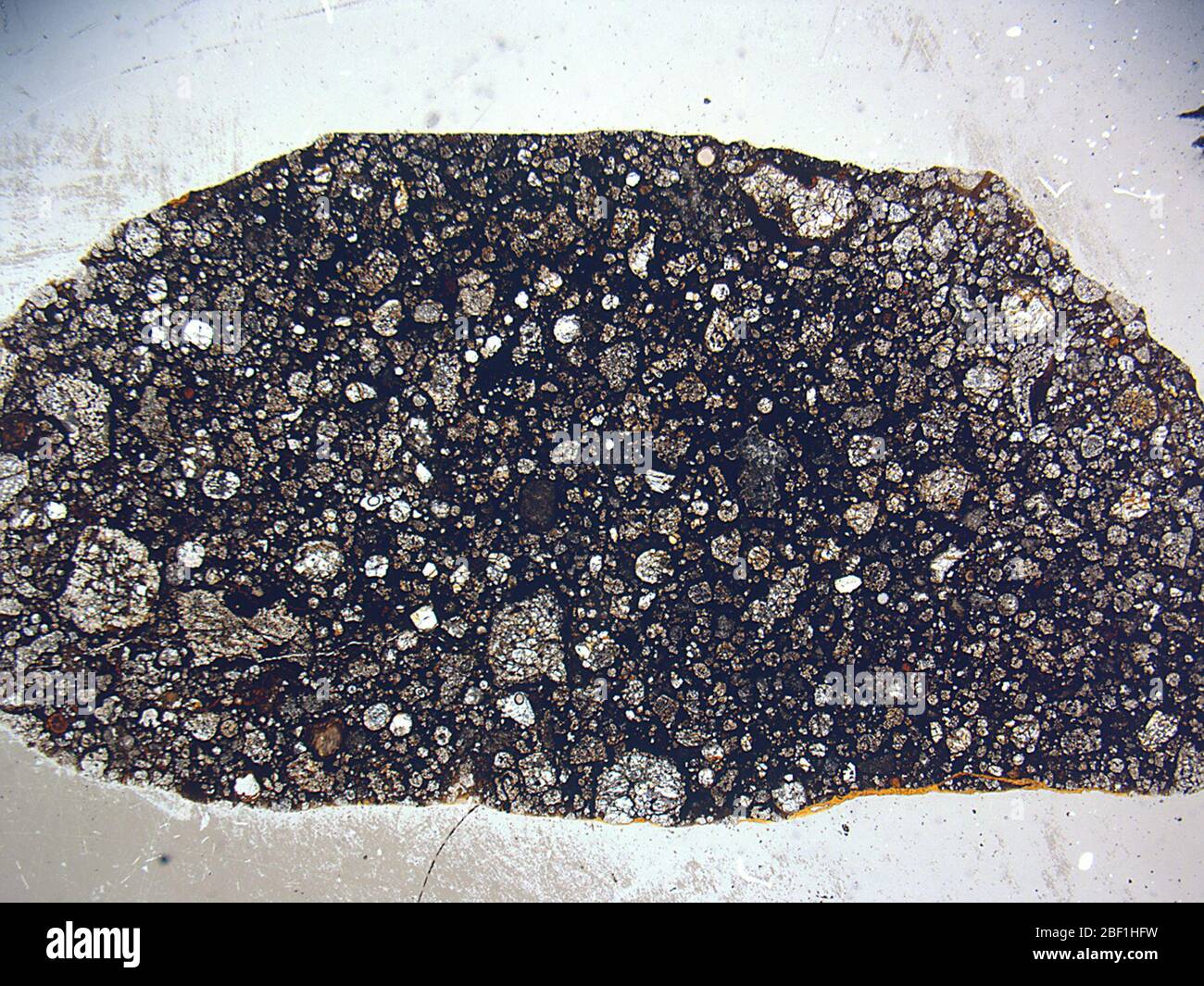 Organism colony hi-res stock photography and images - Alamy