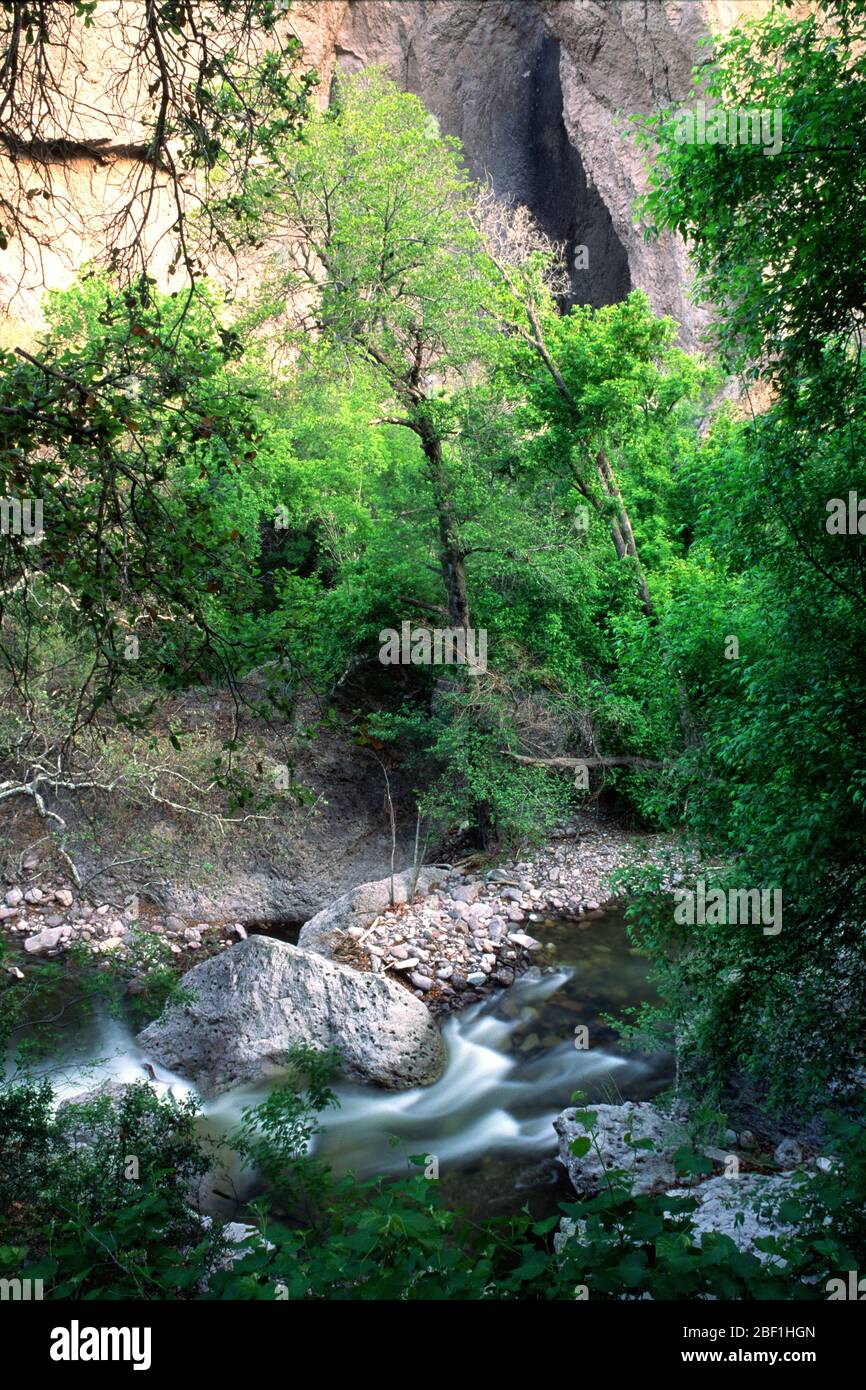 Whitewater Creek, The Catwalk National Recreation Trail, Gila National ...