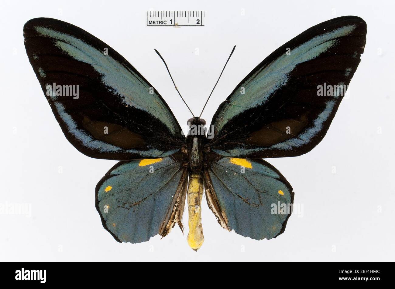 20130 hi-res stock photography and images - Alamy