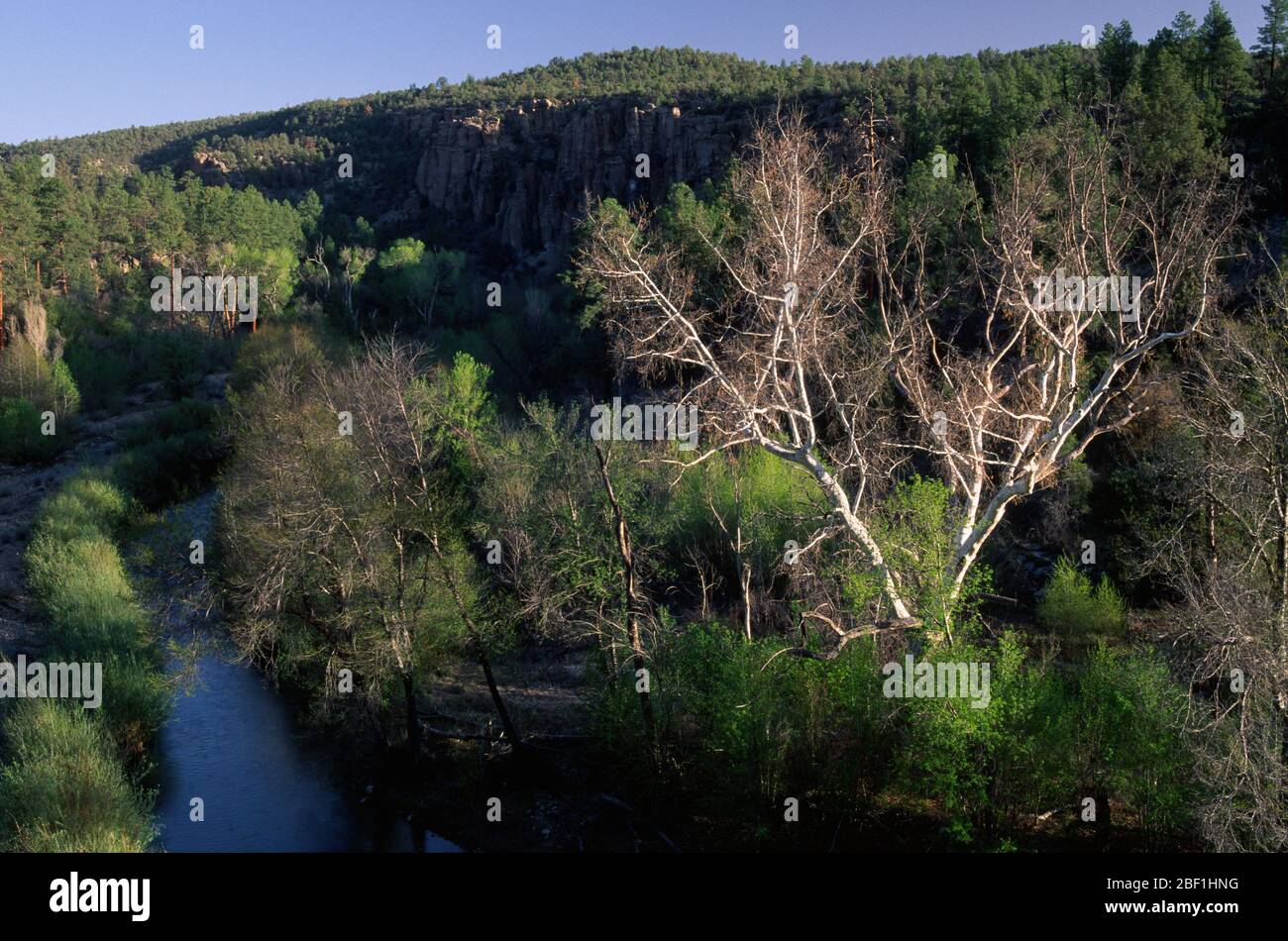 West Fork Gila River Canyon, Gila Wilderness, Gila National Forest, New ...