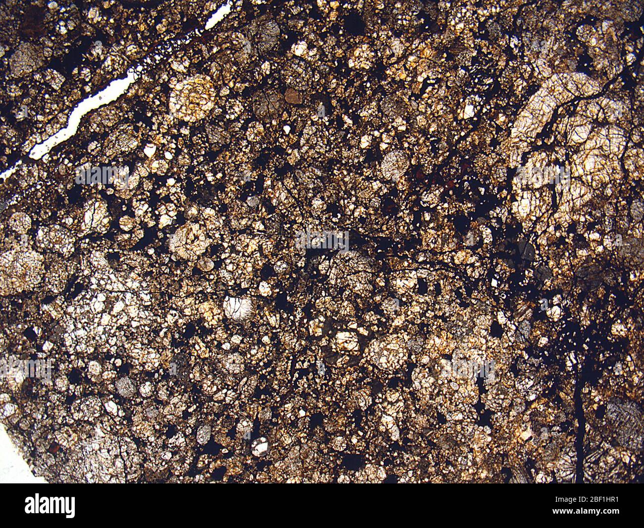 Dimmitt hi-res stock photography and images - Alamy