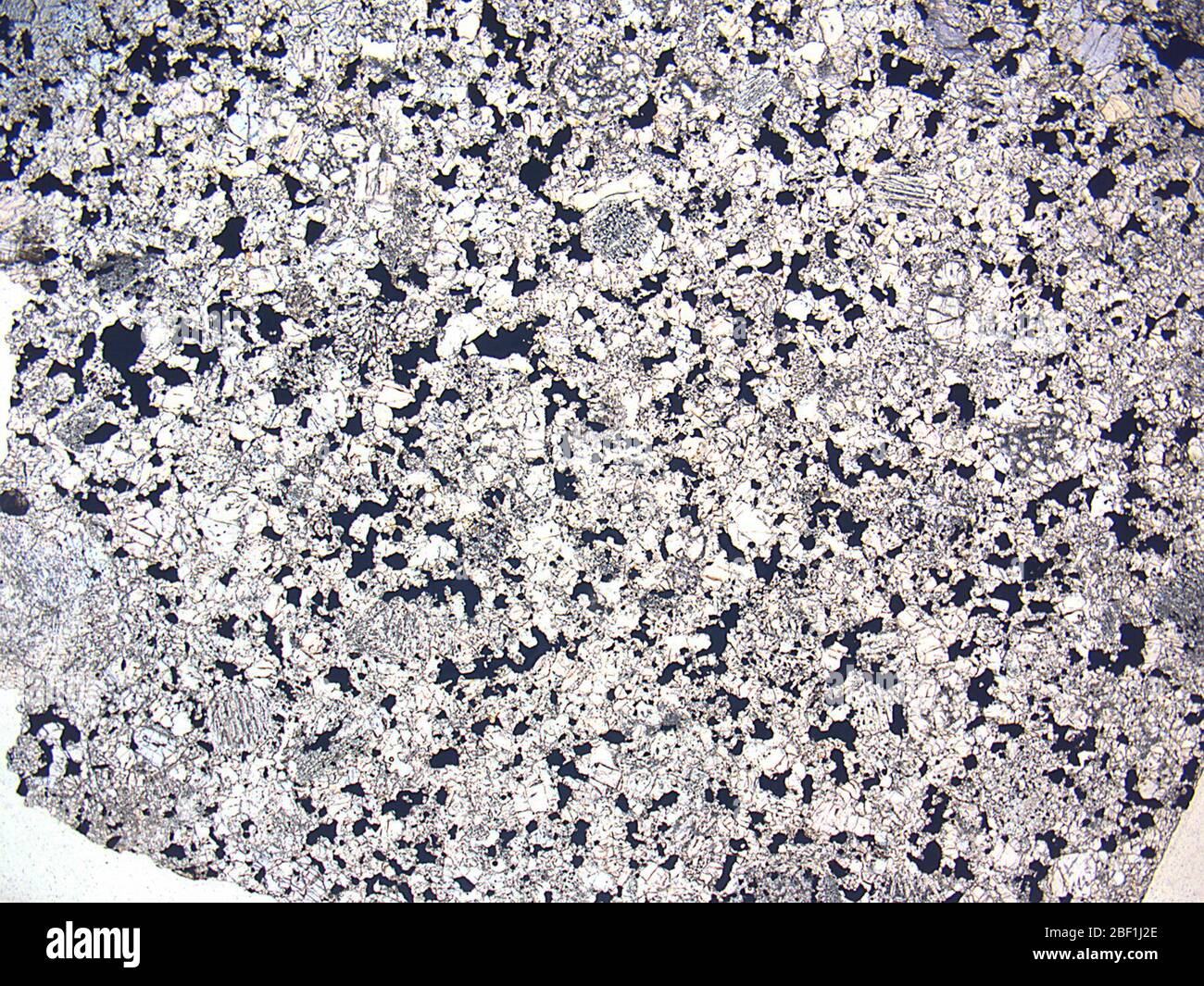 Erxleben hi-res stock photography and images - Alamy