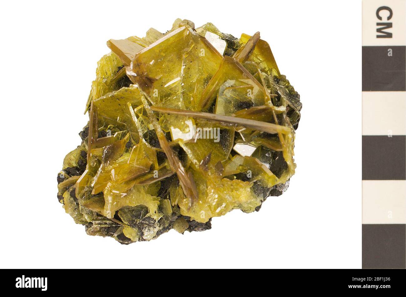 Rare tabular crystals hi-res stock photography and images - Alamy