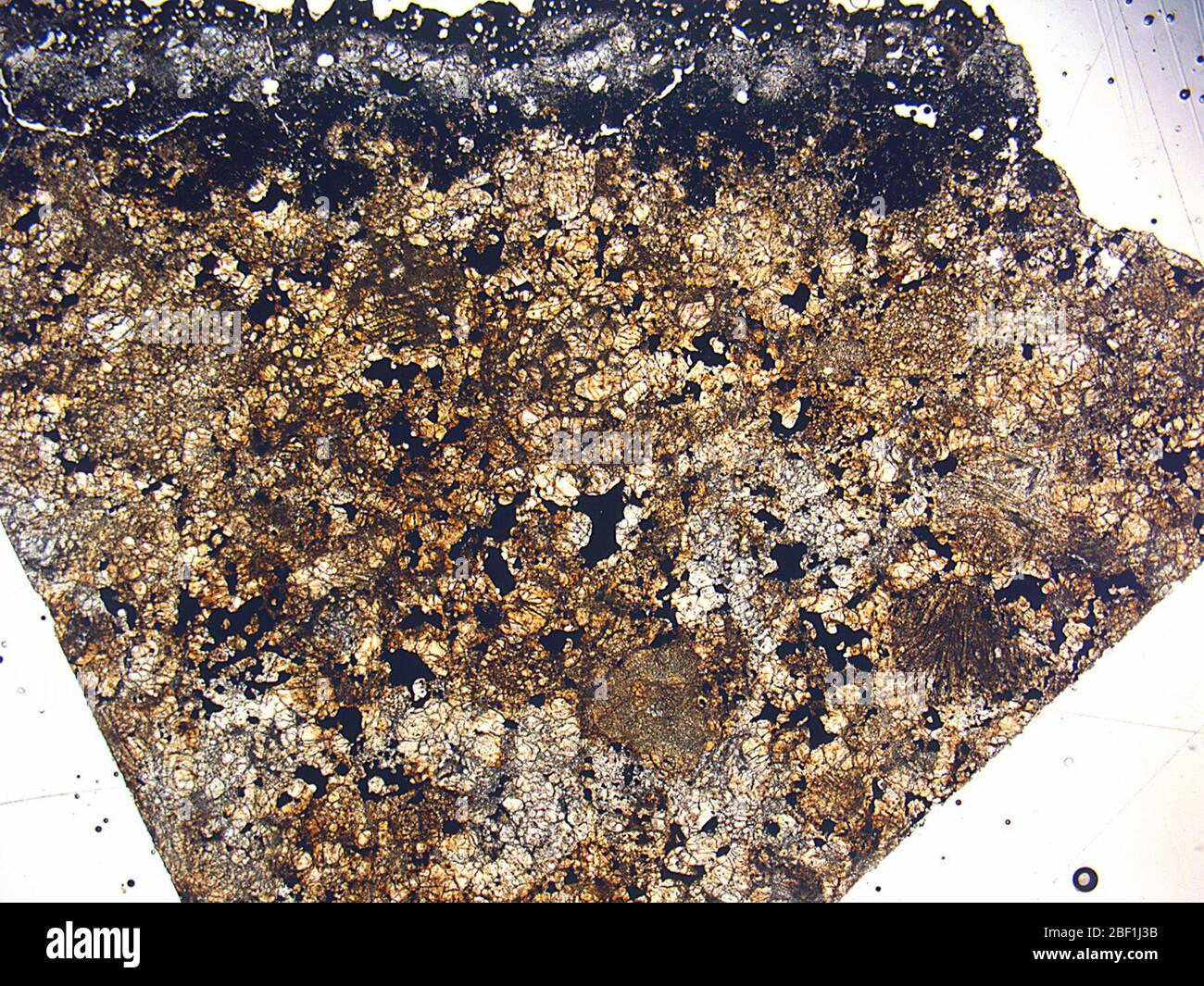 Ellerslie hi-res stock photography and images - Alamy