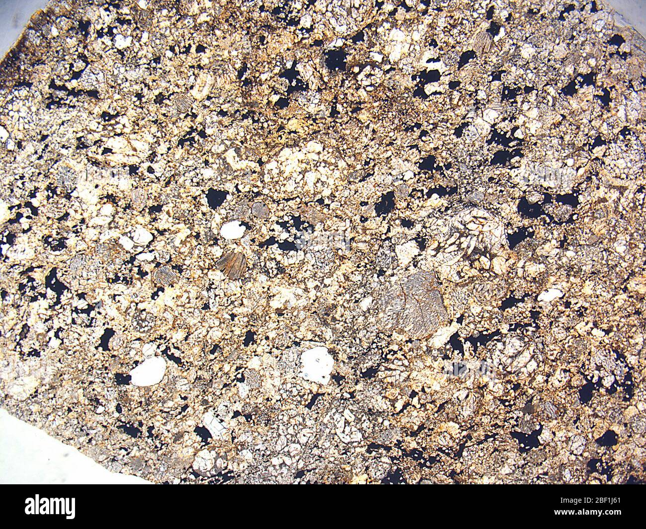 Faucett hi-res stock photography and images - Alamy