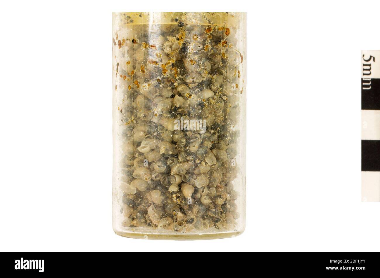 50014 hi-res stock photography and images - Alamy