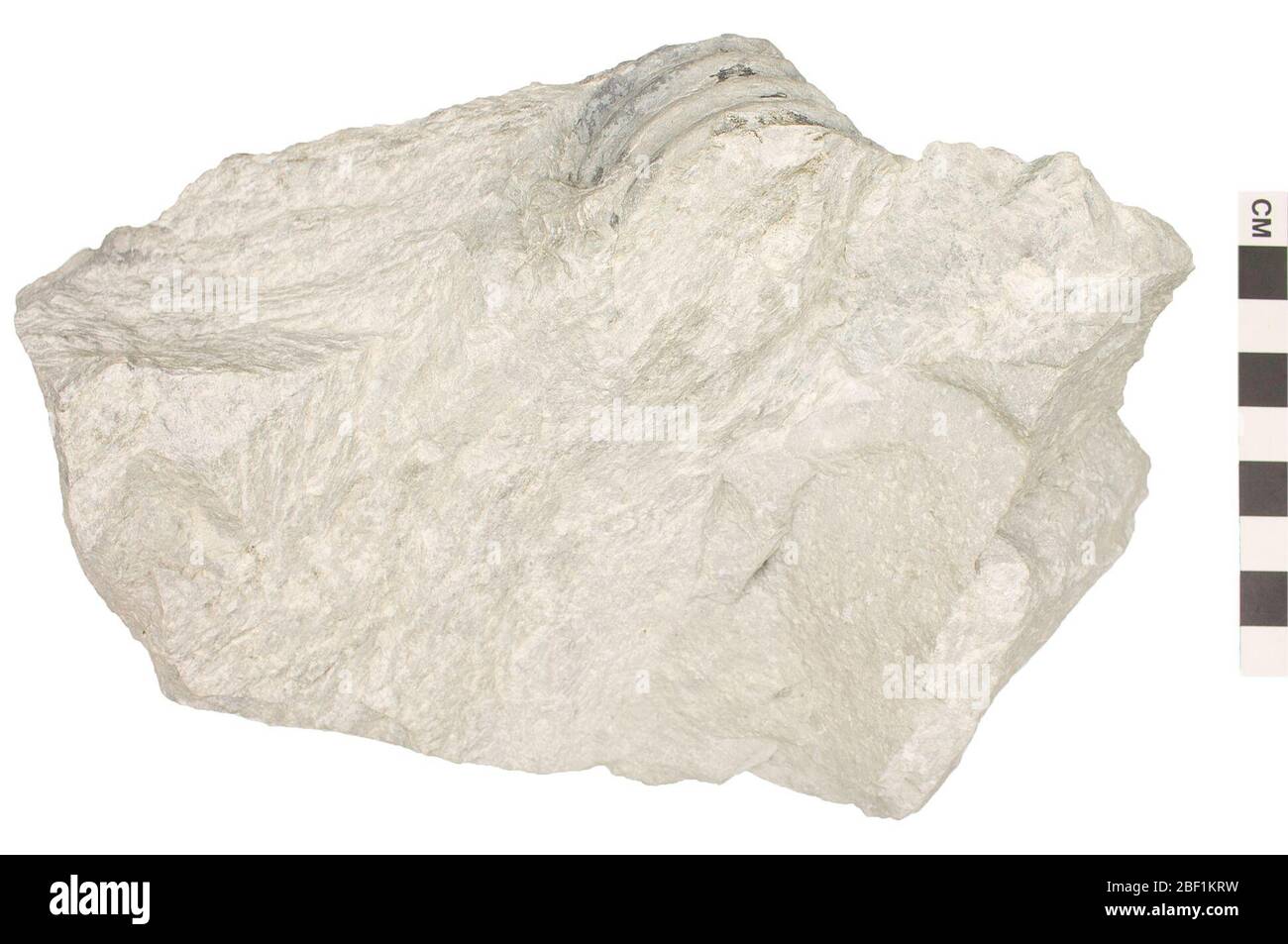 Micritic Limestone