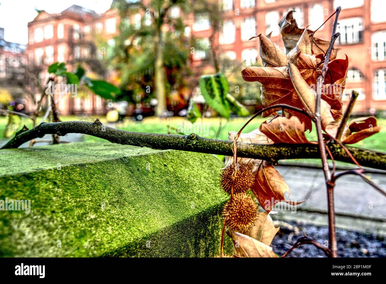 Manchester park in Autumn Stock Photo - Alamy