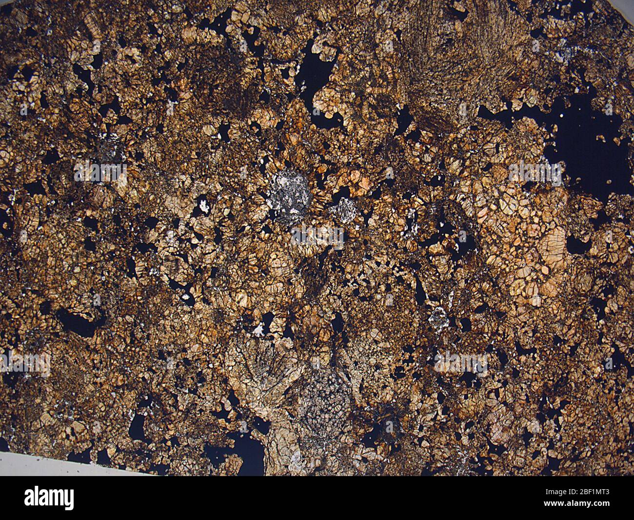 Hildreth hi-res stock photography and images - Alamy