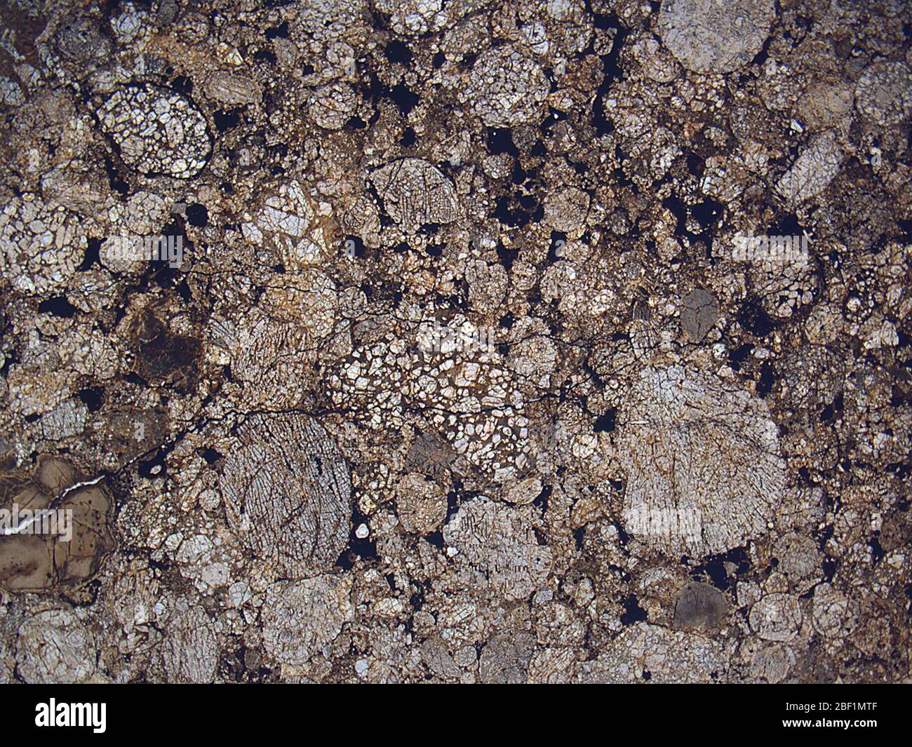 Ioka historical hi-res stock photography and images - Alamy