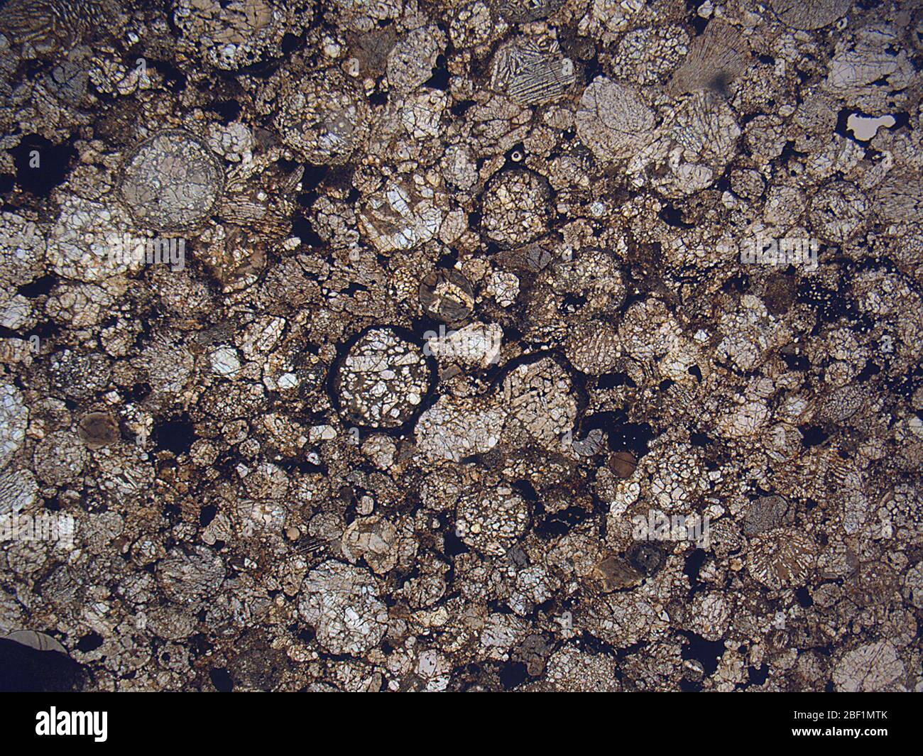 Ioka hi-res stock photography and images - Alamy