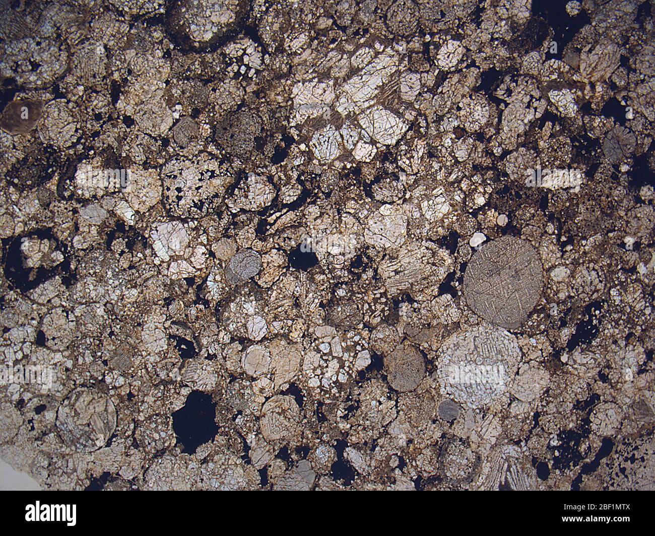 Ioka hi-res stock photography and images - Alamy