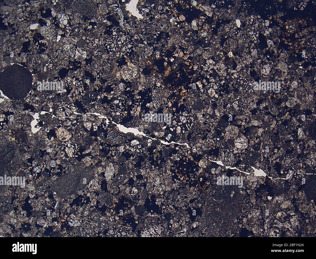 Kalaba hi-res stock photography and images - Alamy