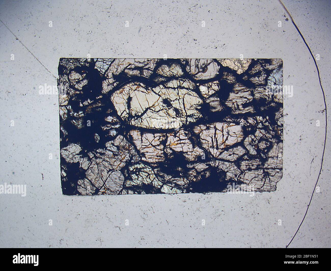 Kenna hi-res stock photography and images - Alamy